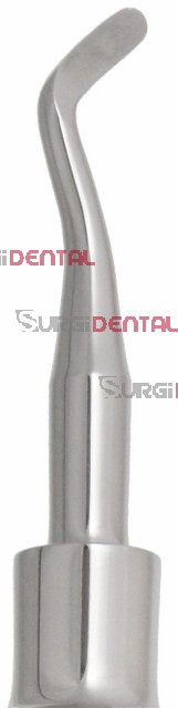 Potts Left Dental Root Elevator