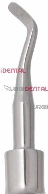 Potts Right Dental Root Elevator