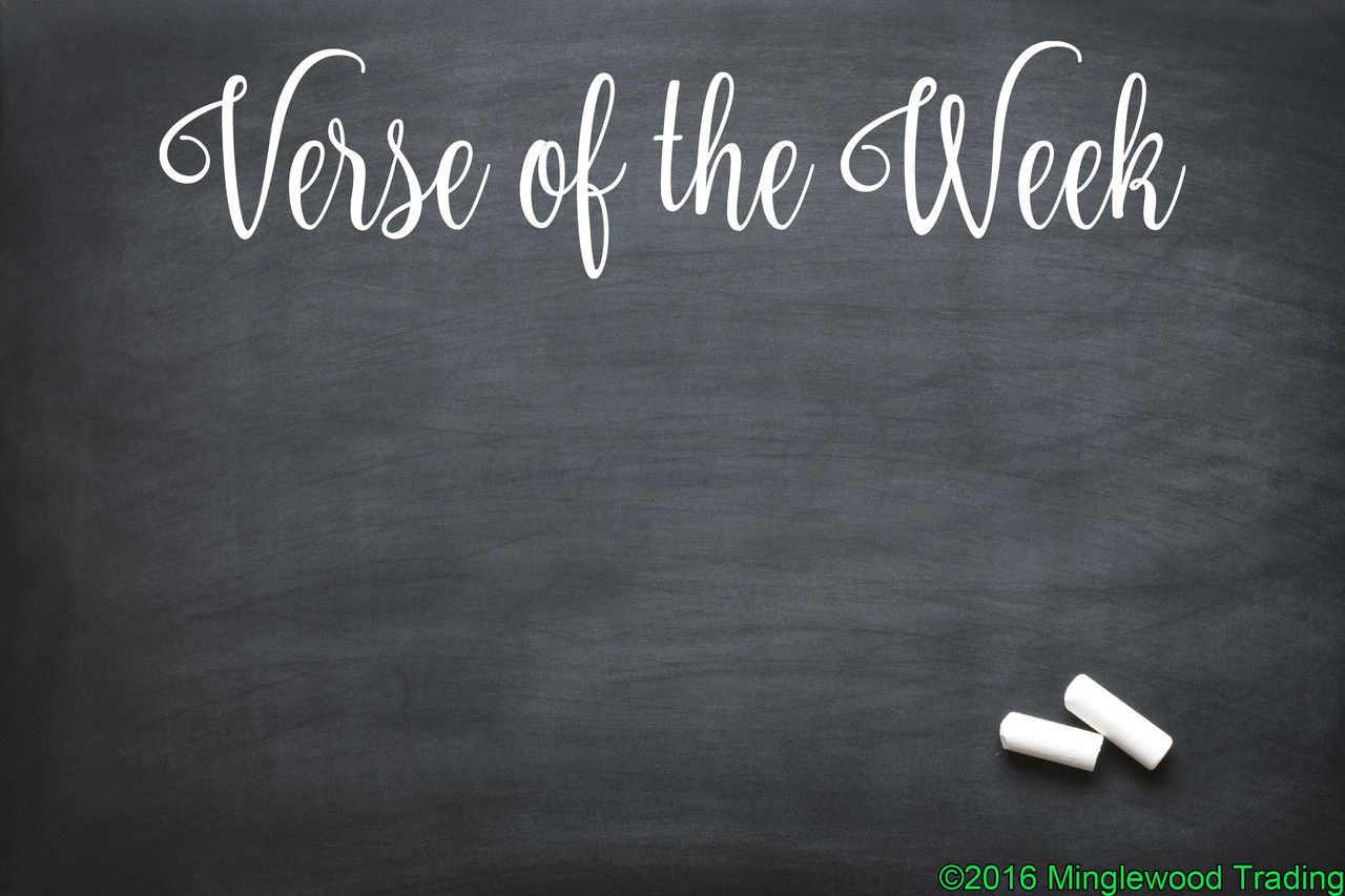 Verse of the Week vinyl decal sticker 13" x 3" Bible Study VBS Church ...