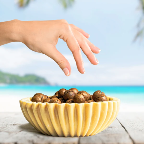 Golden Crunch Coconut Pandan Inshell Macadamias 400G - Fairdinks
