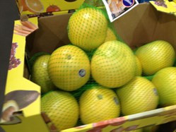 Sunkist Pummelo 3 Pack Product Of USA - Fairdinks