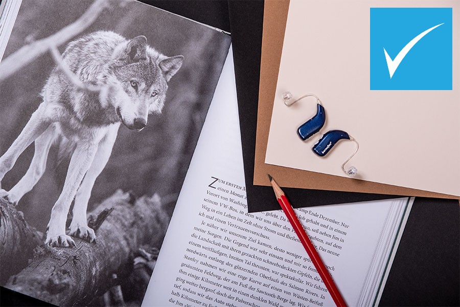 Bernafon Alpha 1 rechargeable hearing aid - Discounted at HEARING SAVERS