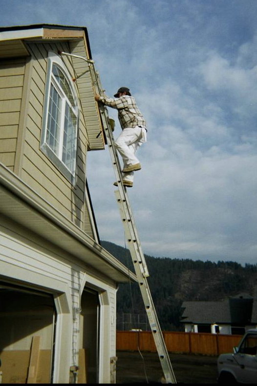 Ladder Fail II - Ladder-Max LLC