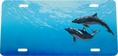Dolphin License Plate #4906-06 - Go2 Outfitters
