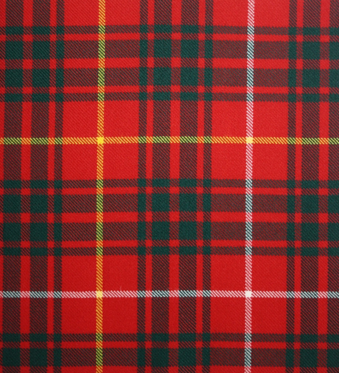 Bruce Modern Heavy Weight Clan Family Tartan Scottish Lochcarron