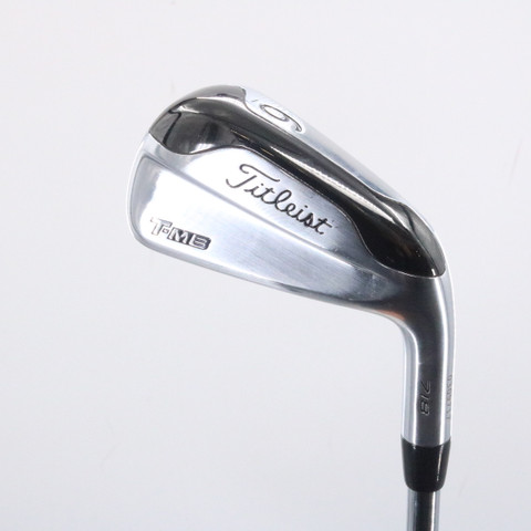 Titleist T-MB 718 Individual 6 Iron True Temper AMT Black S300 Stiff ...