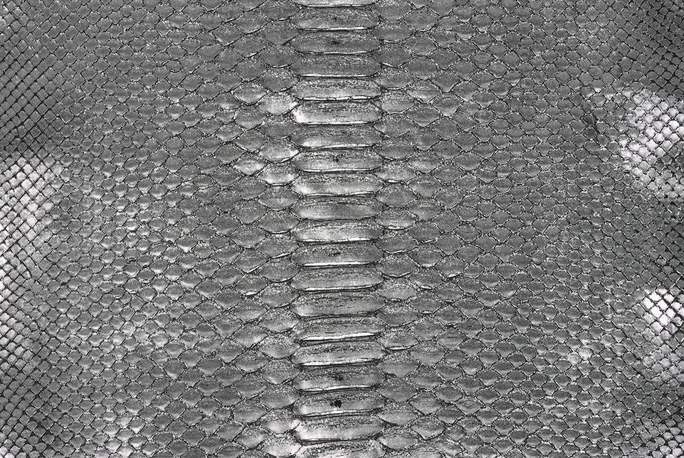 Python Skin Short-Tailed Crisp Silver/Black