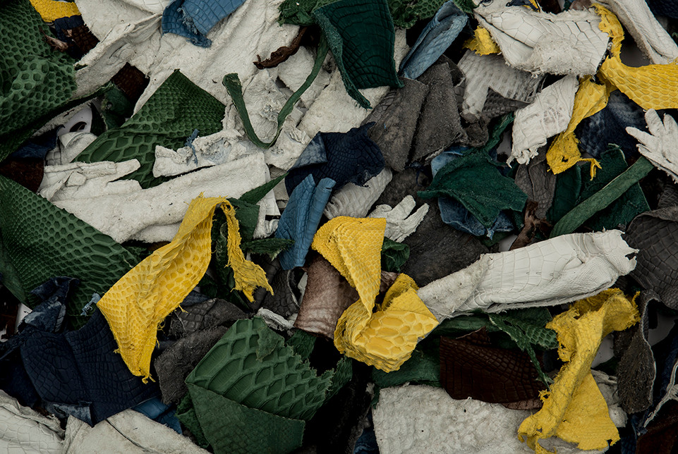 Exotic Skin Scrap Colors