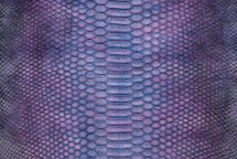 Python Skin Short Galaxy Blue