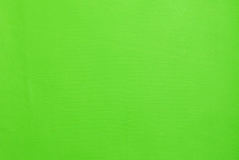 Lizard Skin