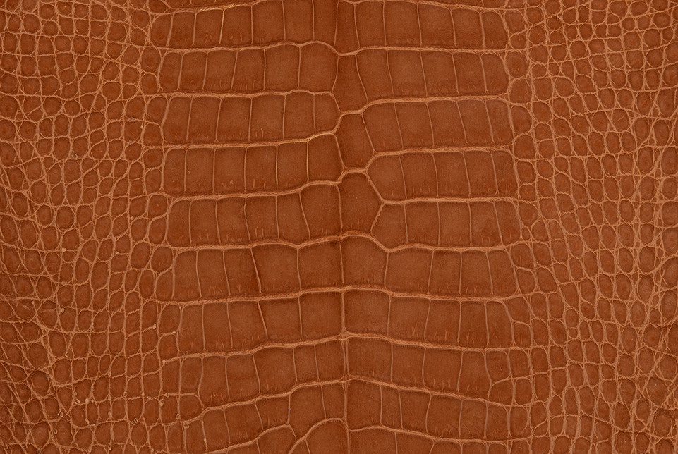 Alligator Skin Belly Suede Cognac 40/44 cm