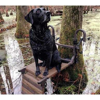 MOmarsh Dog Ramp Stand - Presleys Outdoors