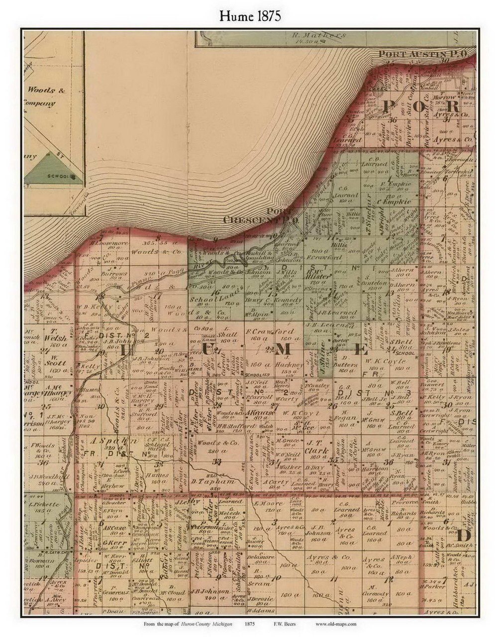 Hume, Michigan 1875 Old Town Map Custom Print - Huron Co. - OLD MAPS