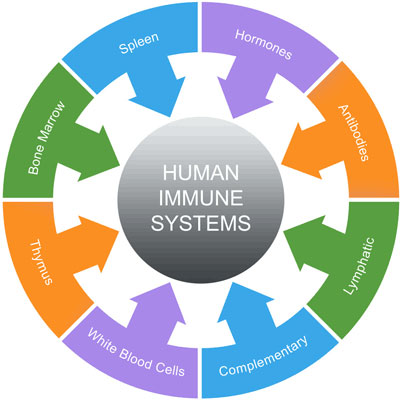 It’s Not Too Late to Boost Your Immune System - Meditrend, Inc.