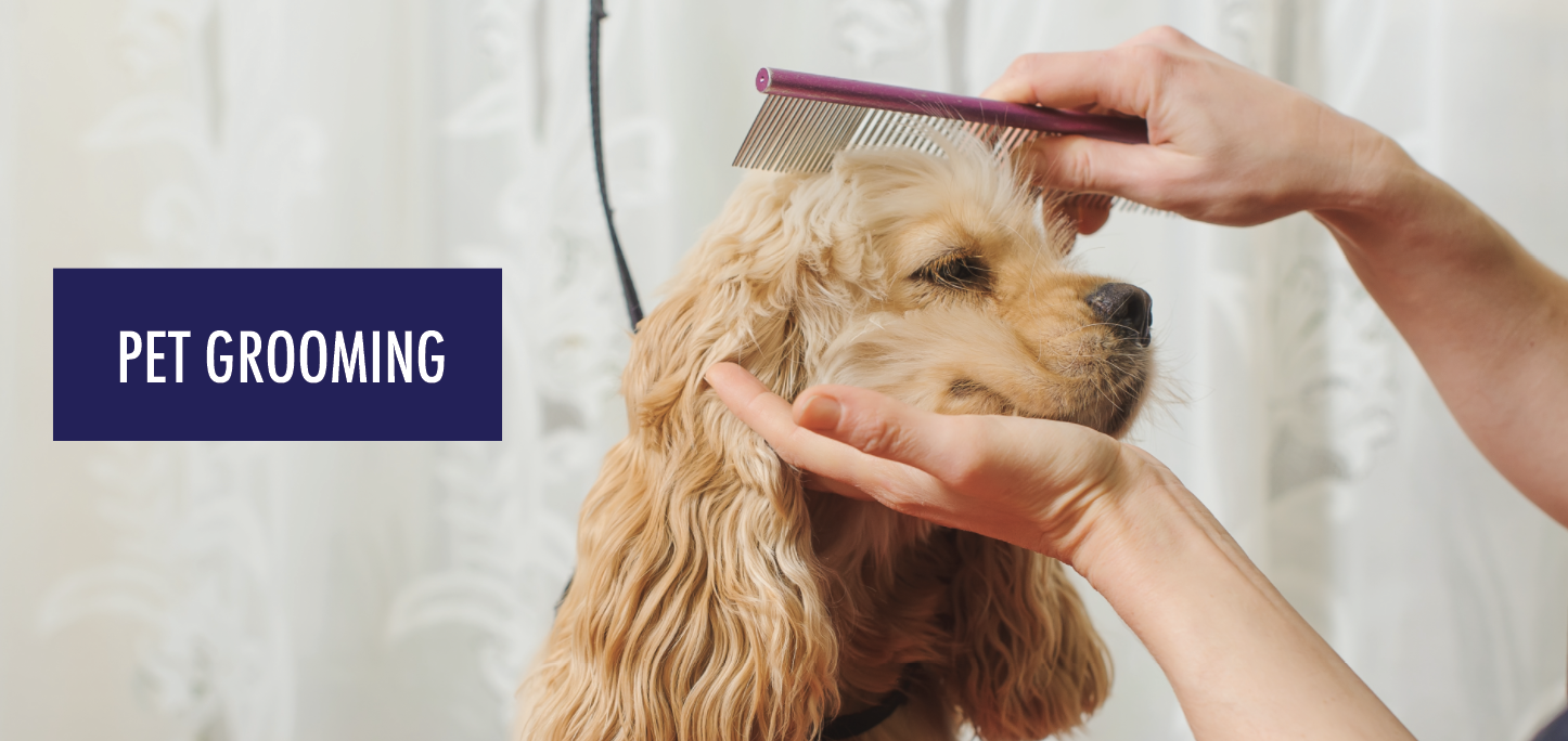 Chaar - Pet Supplies, Cowboy Boots, Work Boots, Hiking Boots, & Dog ...