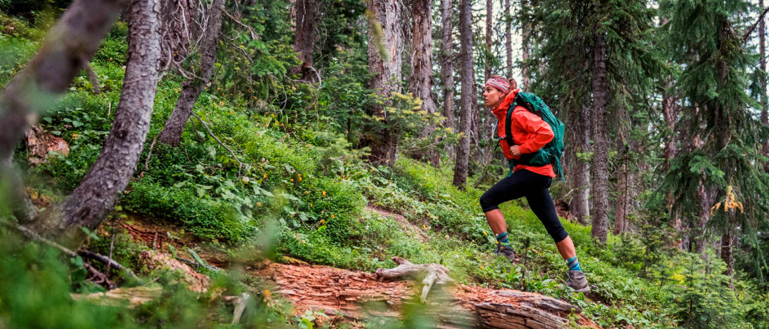 Vasque Footwear - Hiking Boots & Outdoor Shoes - Chaar