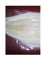 PERCH FILLET SKIN OFF FROZEN