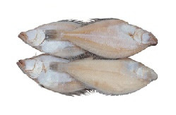 SOLE FISH FROZEN