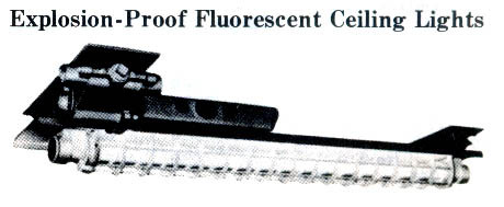 FL CEILING LIGHT EXPLOSION PROOF 20W DOUBLE AC220V - IMPA 791896