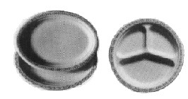 PAPER PLATE COMPARTED 235MM - IMPA 170488