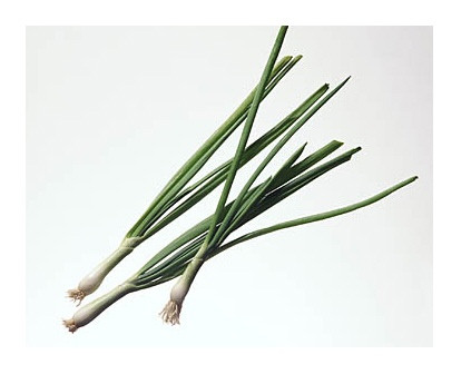 CHIVES STEM FRESH