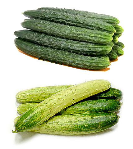 CUCUMBER FRESH