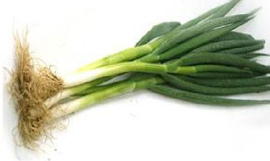 LEEK FRESH