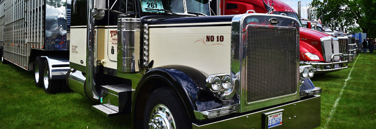 Peterbilt Hoods | Raney's Truck Parts