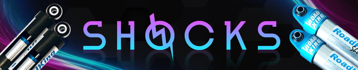 Semi Truck Shocks | Raney's Truck Parts