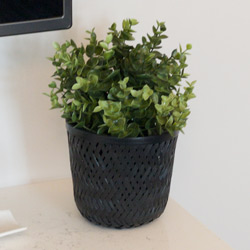 New Product Release: WiFi Fake Plant Hidden Camera - SpygearGadgets