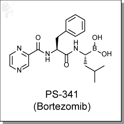 bortezomib