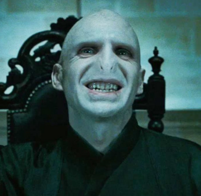 voldemort with a beard