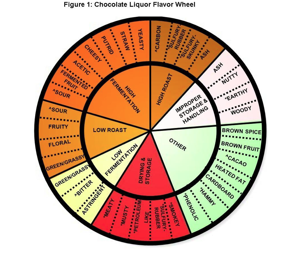 Cacao and Cocoa Bean Flavors - Santa Barbara Chocolate