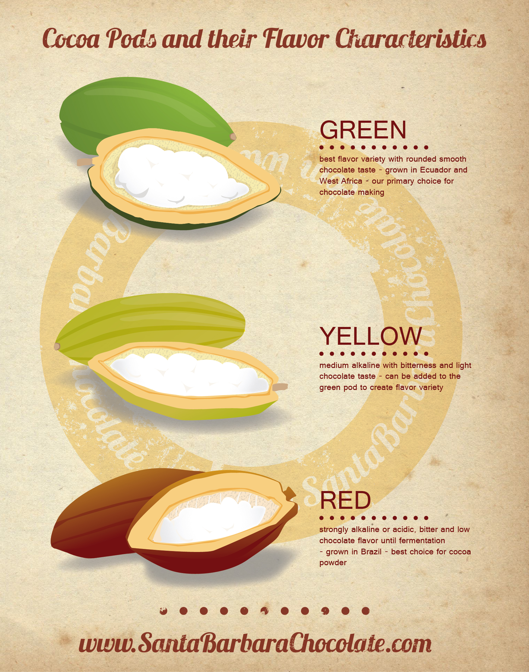 What are the different flavor characteristics of cocoa pods?