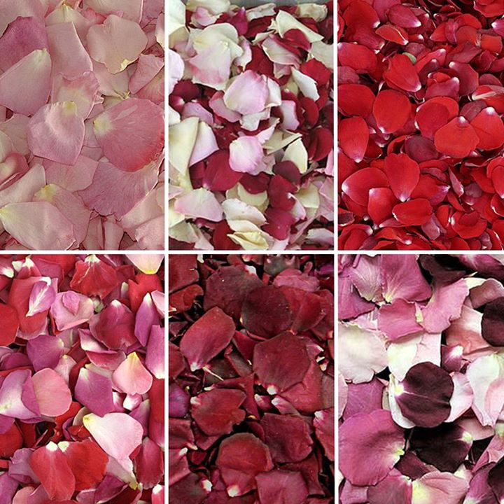 Valentine's Day is Almost Here! - Flyboy Naturals, Inc