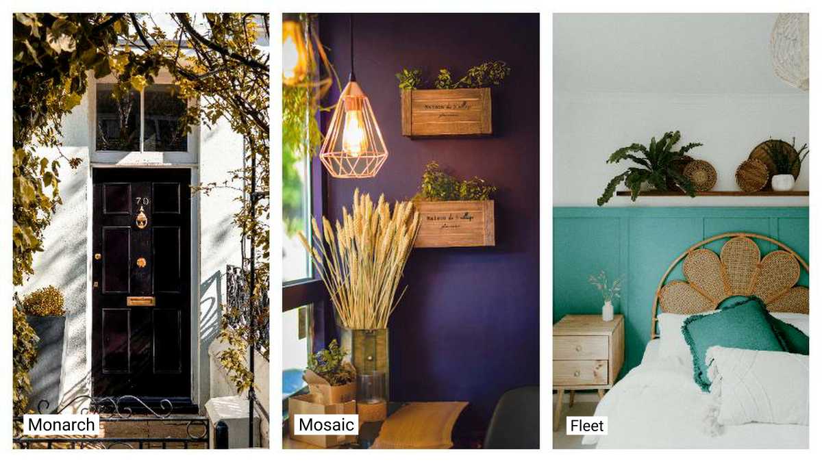 eicó launch new paint colours for 2024 - Celtic Sustainables