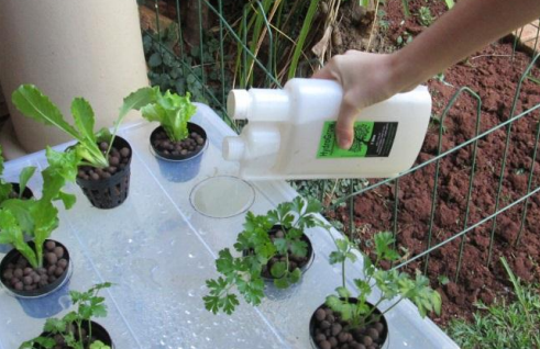 THIS HYDROPONIC SCHOOL PROJECT DESERVES AN A++ - MyAquaponics