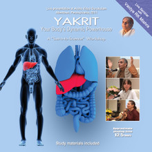 Yakrit (Liver): Your Body's Powerhouse - Chandi Co