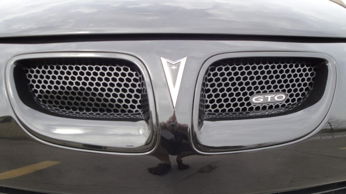 2004-2006 GTO Sport Appearance Package Reproduction Grilles, Pair ...