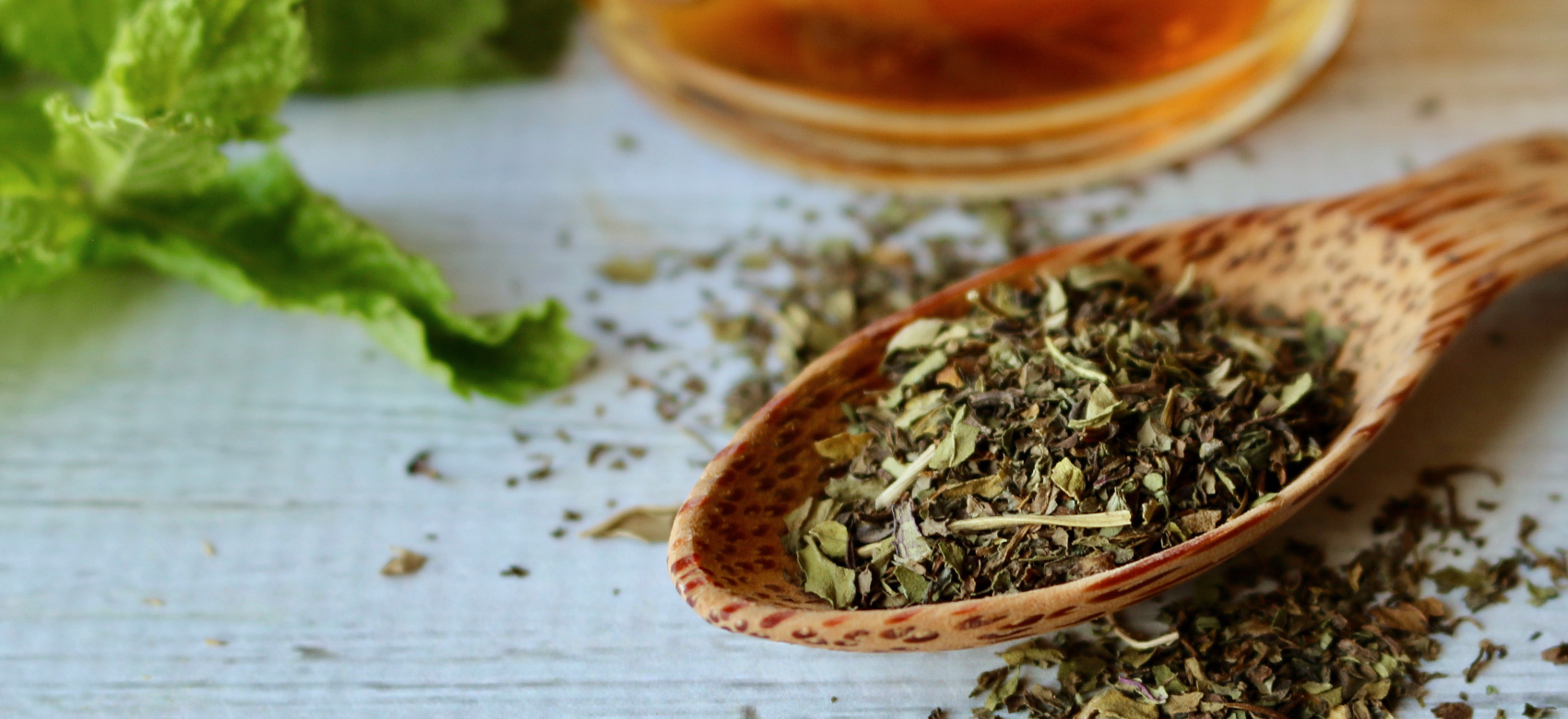 Buy Premium Organic Teas Online | Teatulia