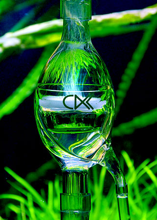 CAL AQUA LABS Stylish Glassware Range - Sydney Discus World Aquariums Products