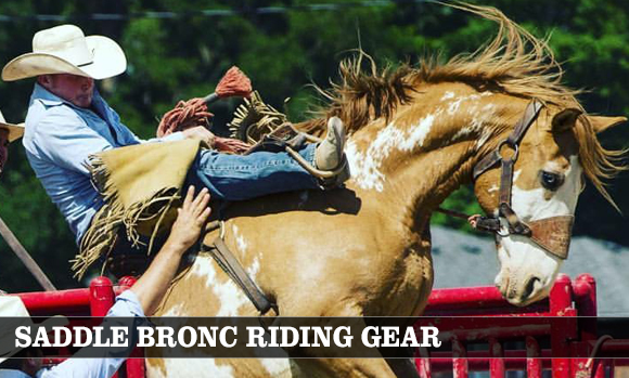 Saddle Bronc Rider Quotes