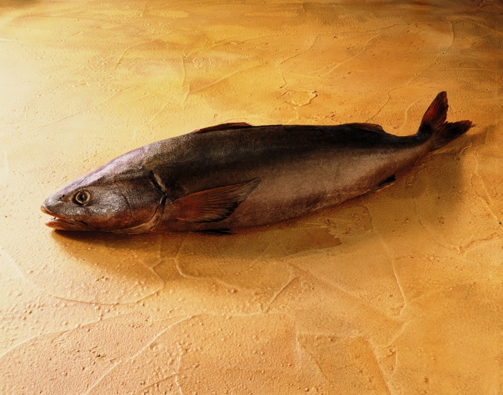 CRS Fresh Black Cod Wholesale