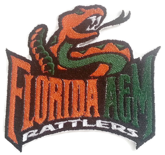 Famu New Beginnings Logo Design