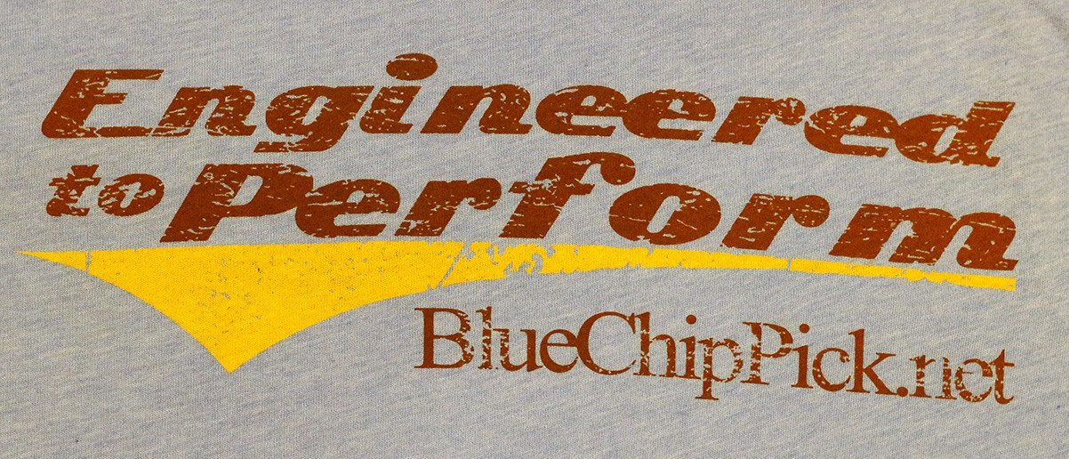 Blue Chip Logo