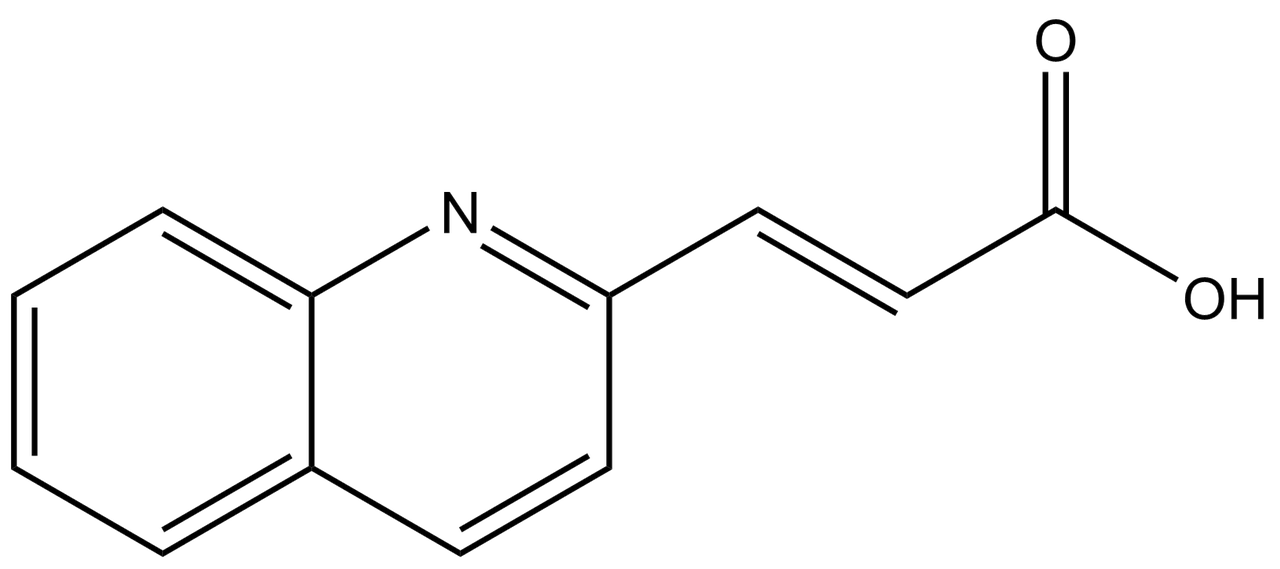 (E)-3-Quinolin-2-yl-acrylic acid | CAS 81124-50-7 | P212121 Store