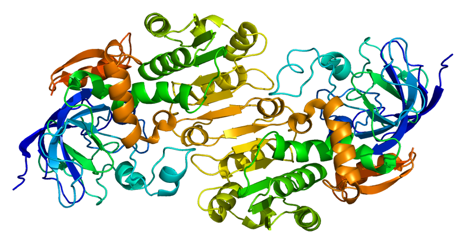 Alcohol Dehydrogenase | Protein | P212121 Store
