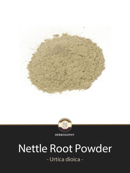 Buy Nettle Root Australia | 37.5 | 100 Caps | Herbosophy