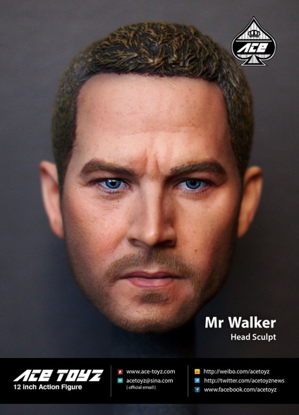Paul walker 1/6 action figure Ace Toyz