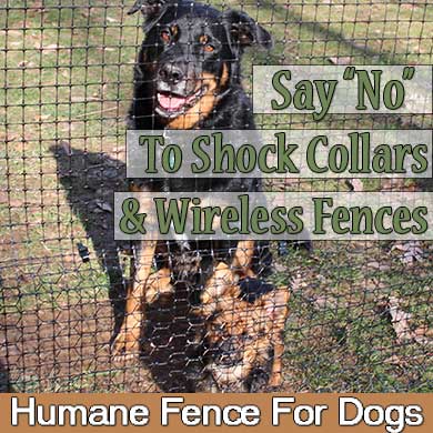 Deer Fence Materials and Supplies